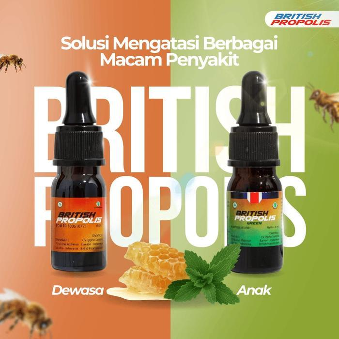 BRITISH PROPOLIS Asli 100% Original Distributor Resmi - Reguler, 1 ...