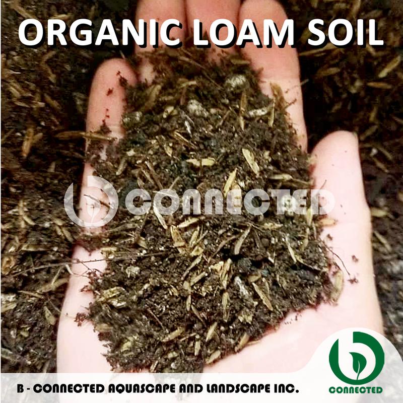 ORGANIC LOAM SOIL BY B-CONNECTED - TikTok Shop Philippines