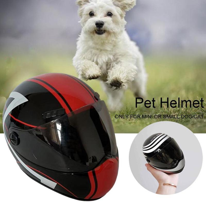 Small Pet Motorcycle Helmet, Mini Helmet For Cats And Dogs Outdoor ...