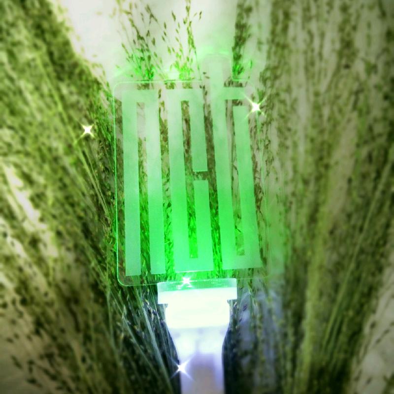 LIGHTSTICK FANMADE NCT (KPOP) - Shop | Tokopedia