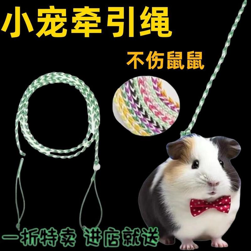 [1833 Positive Reviews] Hamster Leash, Mouse Leash, Golden Hamster ...