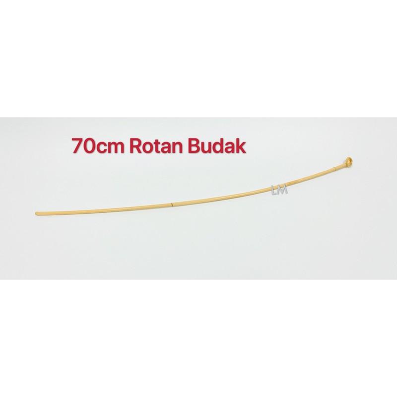3pcs ROTAN BUDAK / ROTAN / ROTAN KANAK-KANAK / CANE / BAMBOO - TikTok ...