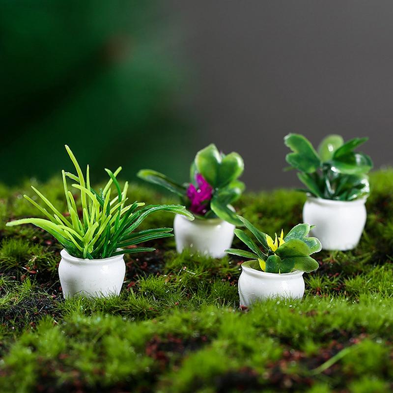 Mini Pokok Pasu Mini, Set 4 Keping, Skala Rumah Anak Patung 1: - TikTok ...