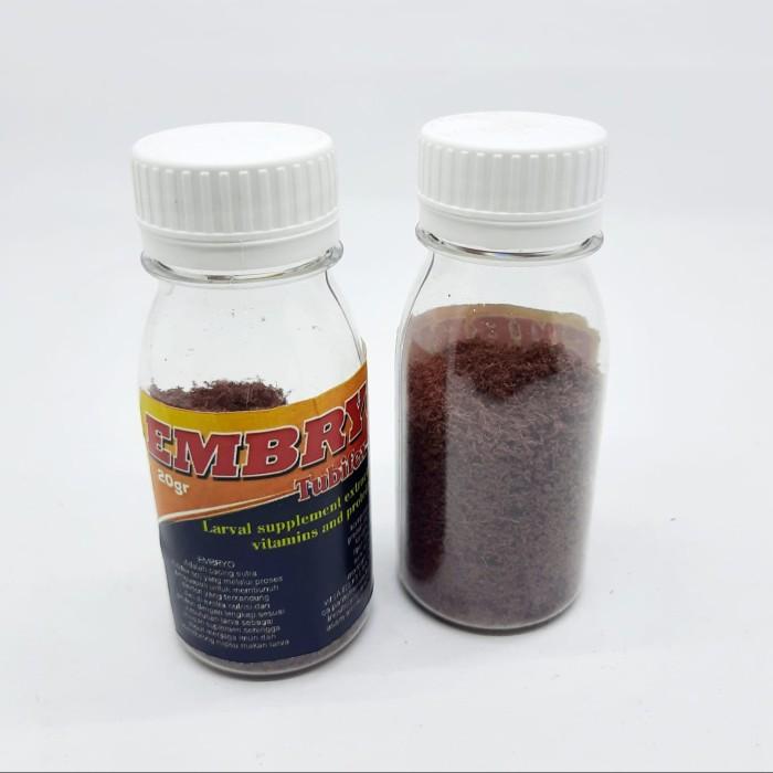 EMBRYO 20 GRAM PAKAN IKAN HIAS TUBIFEX SP CACING SUTRA/CACING KERING ...