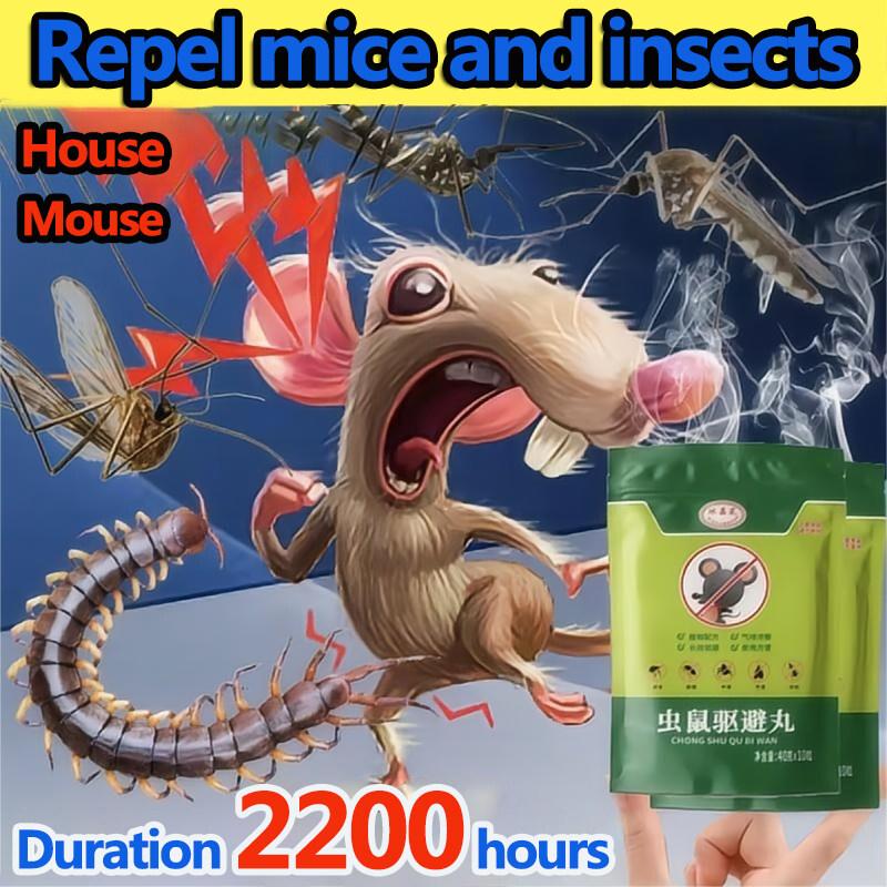 racun tikus paling kuat racun tikus mati 3 saat rat poison killer - TikTok Shop Malaysia