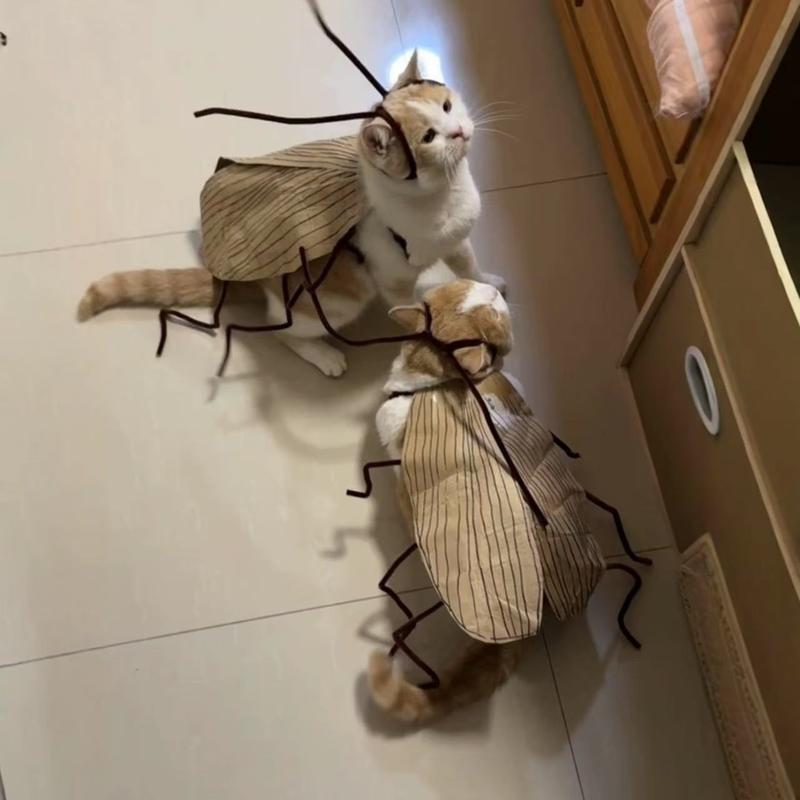 Kostum Lipas, Versi Haiwan Peliharaan Comel, Lipas Tidak Berdosa ...