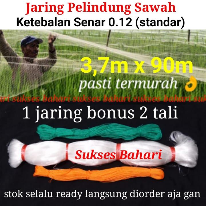 JARING BURUNG PIPIT / JARING BURUNG 1 1/2 INCH / JARING EMPRIT / JARING ...