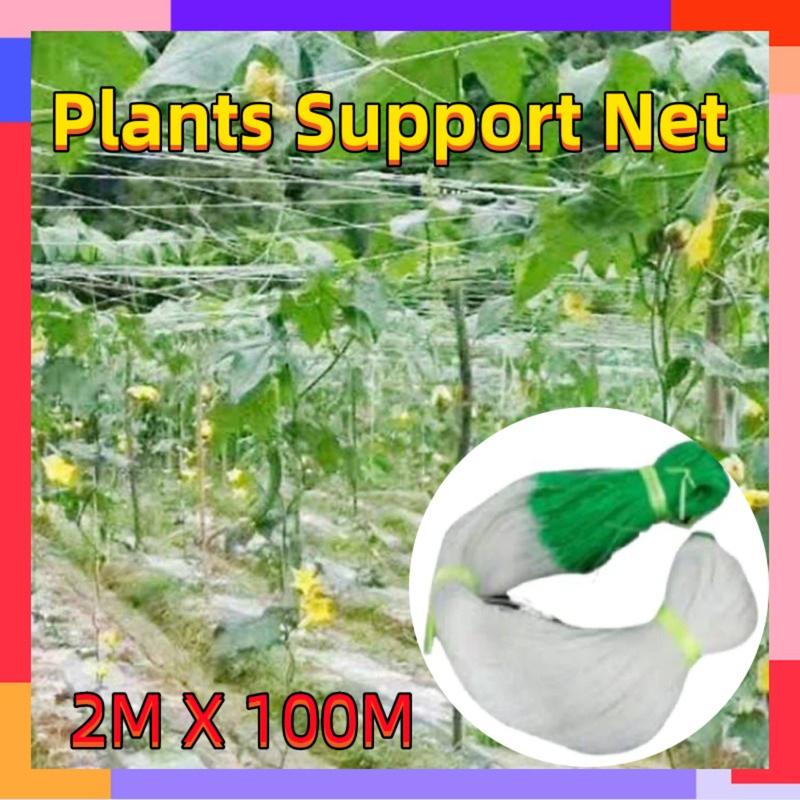 Plant support net horticultural plant fruit and vegetable cover ...
