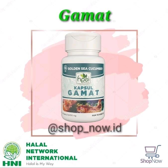 Gamat kapsul hni hpai - Shop | Tokopedia
