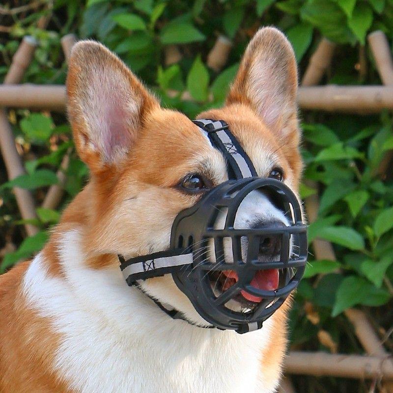 Topeng Anti Gigitan, untuk Anjing Haiwan Peliharaan, Boleh Laras ...