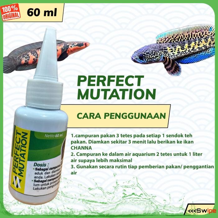 Jual OBAT MUTASI WARNA IKAN CHANNA PERFECT MUTATION - Jakarta Utara ...