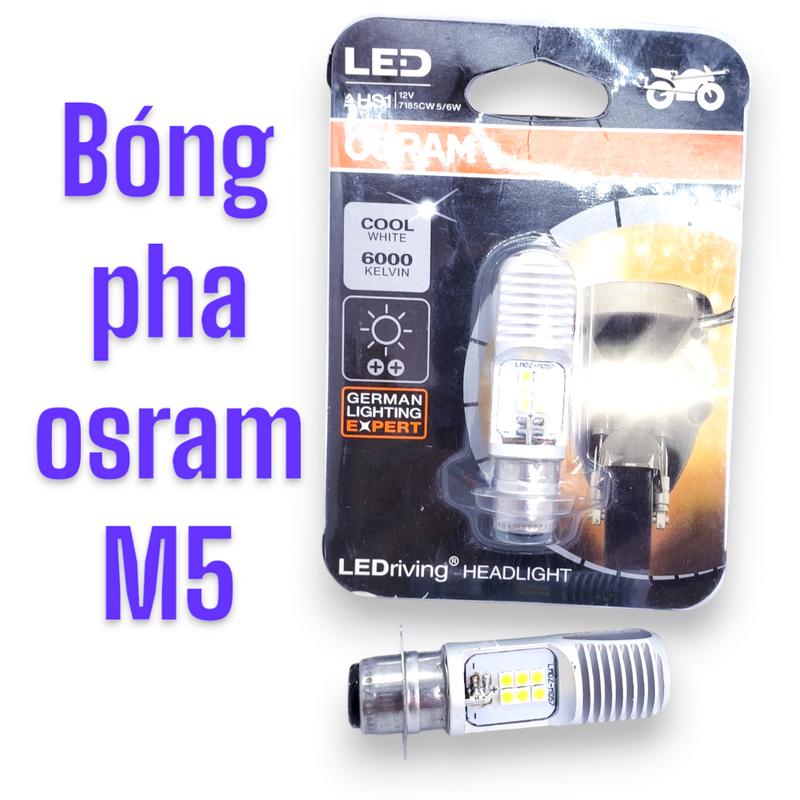 Bóng đèn pha LED osram chân M5 - TikTok Shop Vietnam