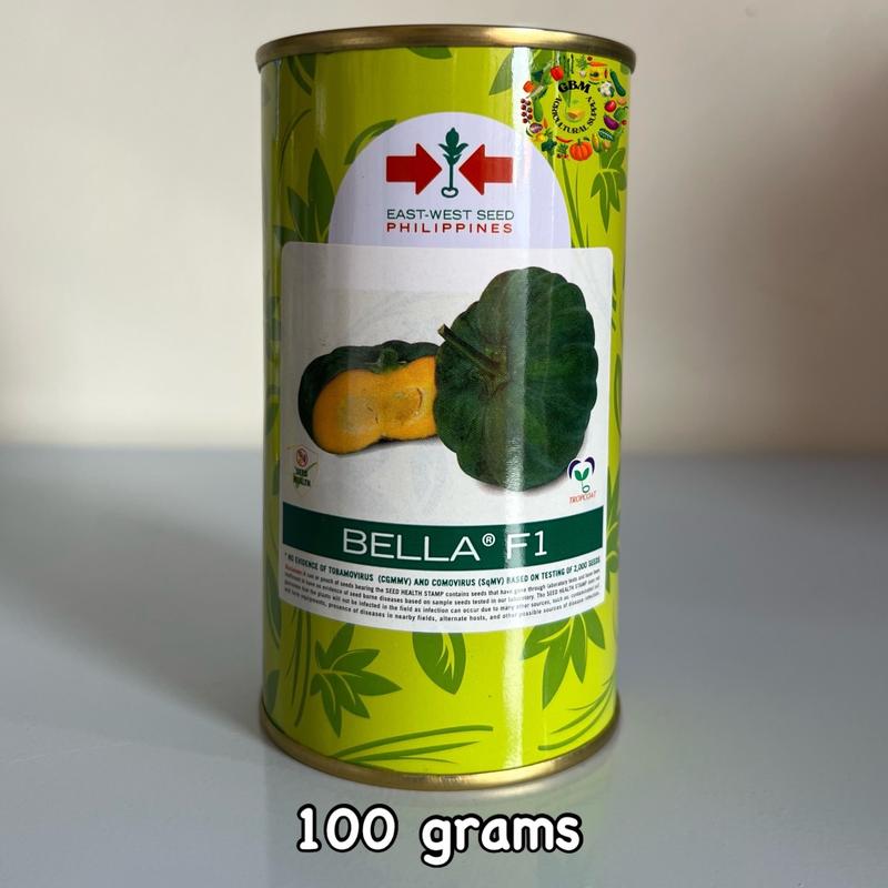BELLA F1 EAST WEST HYBRID PUMPKIN QUALITY VEGETABLE SEEDS - TikTok Shop ...