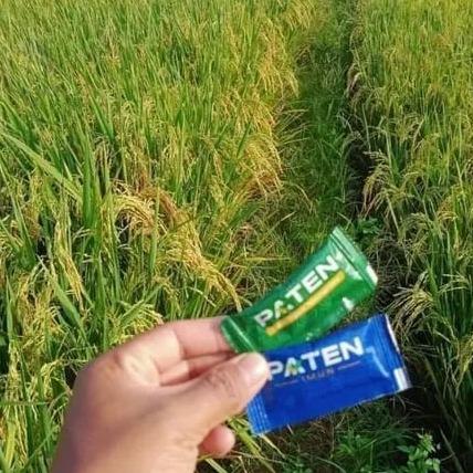 PUPUK ORGANIK PATEN 1 SACHET 3 VARIAN PATEN HIJAU / PATEN GOLD/ - Shop ...