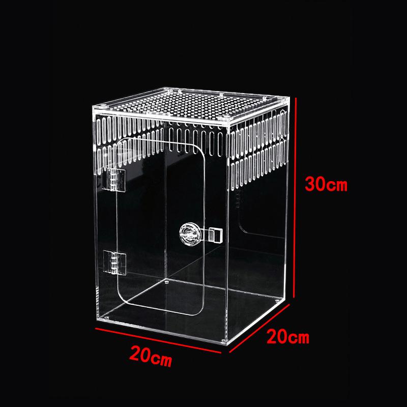 HD Acrylic Climbing Pet Crawler Arboreal Special Feeding Box - TikTok ...