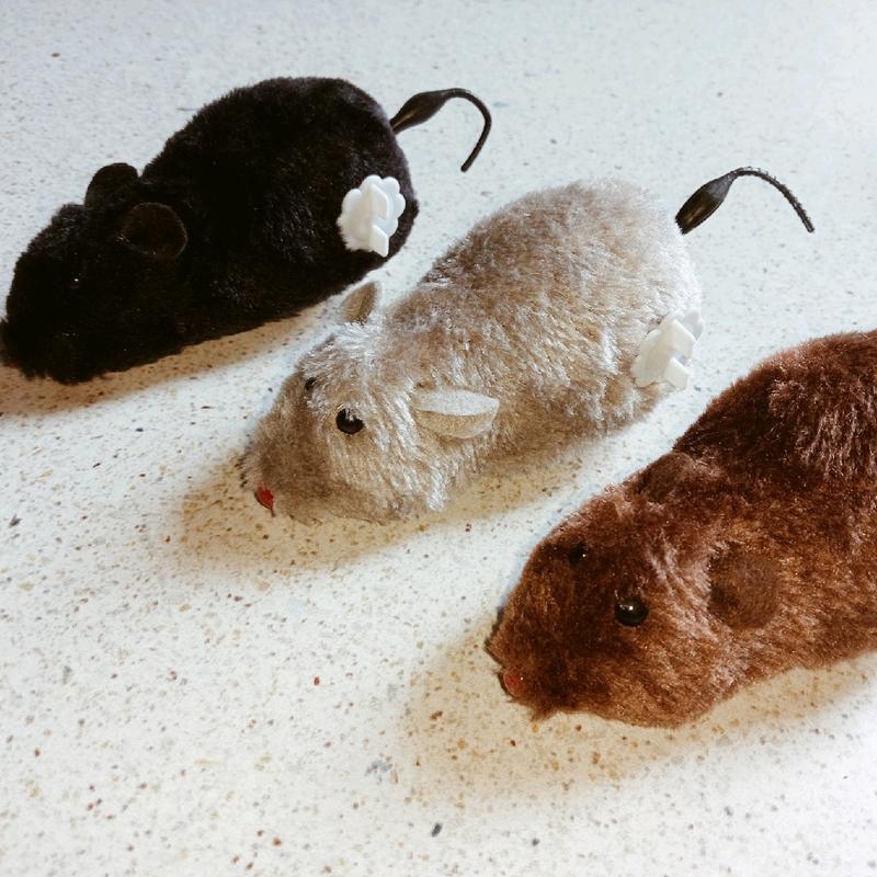 Tikus Putar Mainan Usil Jahili Teman Kucing Dan Anjing - Shop | Tokopedia