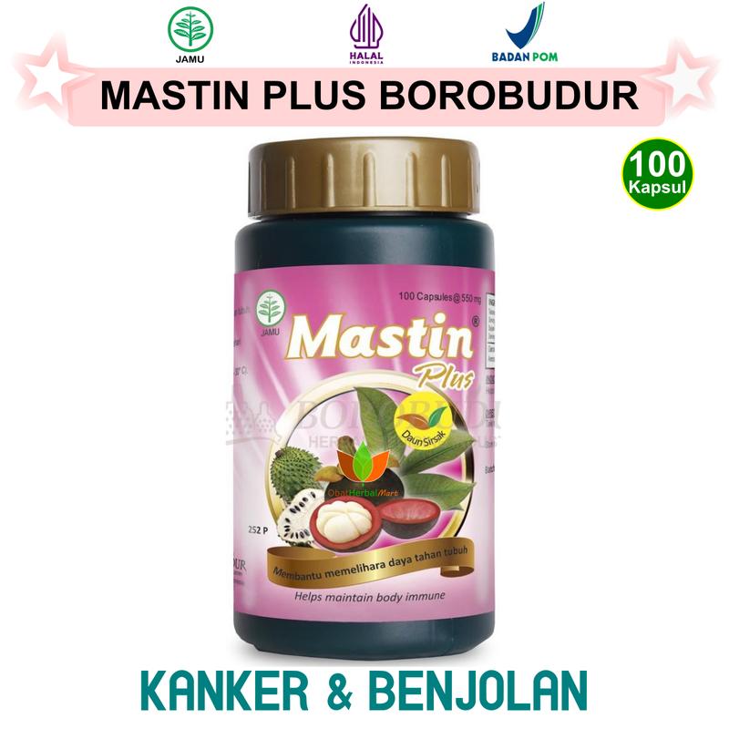 BOROBUDUR MASTIN PLUS 100 KAPSUL JAMU HERBAL KANKE BENJOLAN MASTIN ...