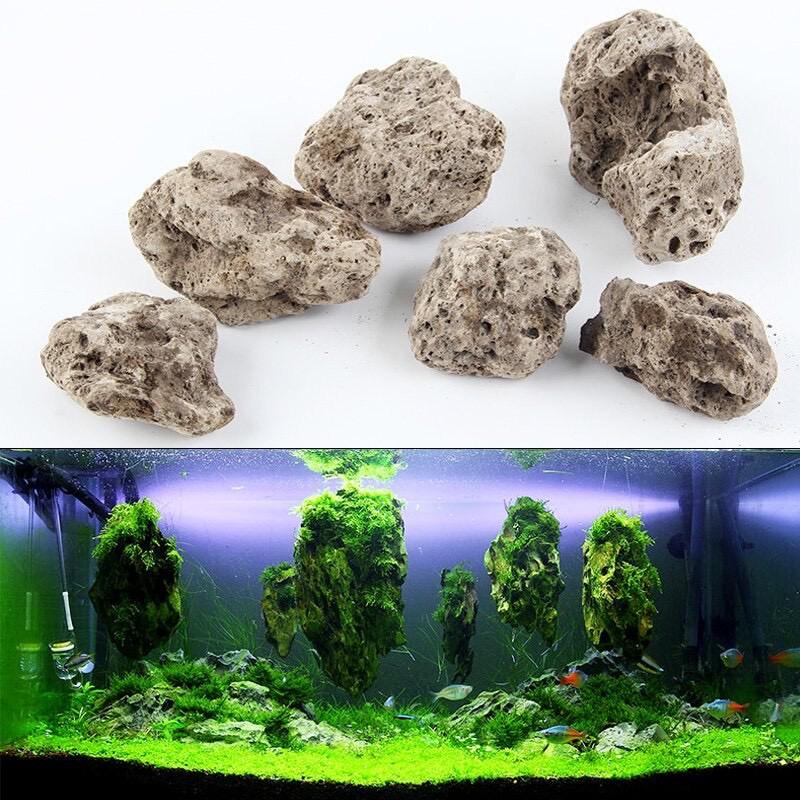 Aquascaping Pumice Stone Floating Rock Natural Float Stone - TikTok ...