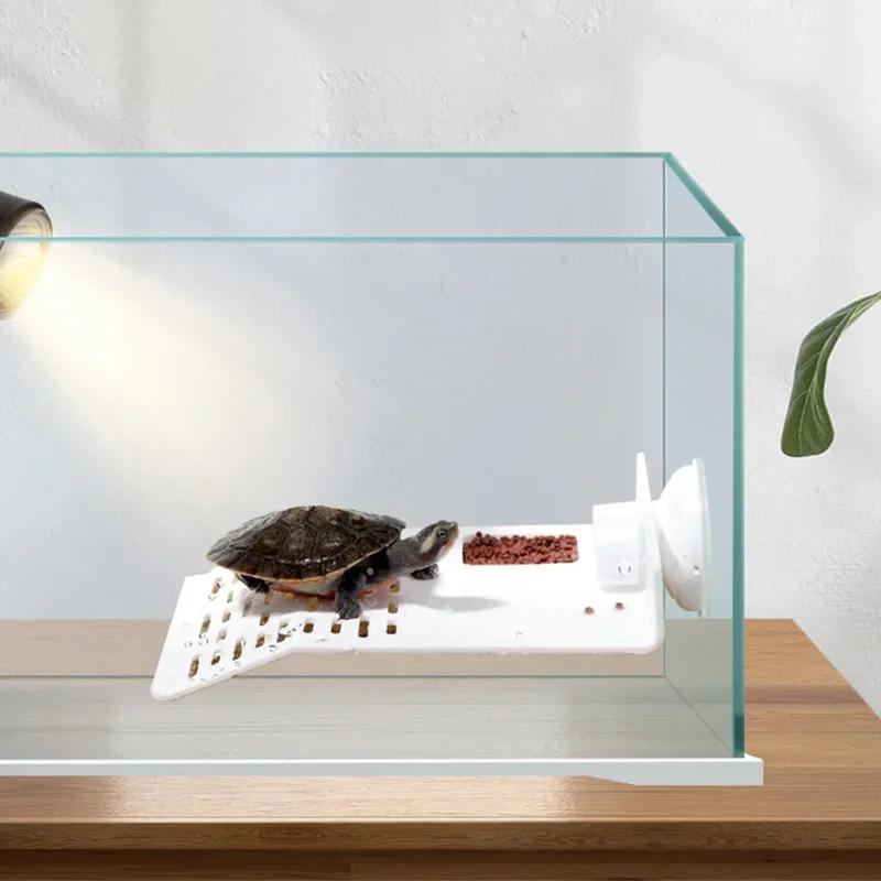 Turtle base, large size transparent, suitable for aquarium fish ...