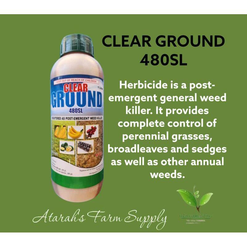 CLEAR GROUND 480SL Herbicide 1Liter - TikTok Shop Philippines