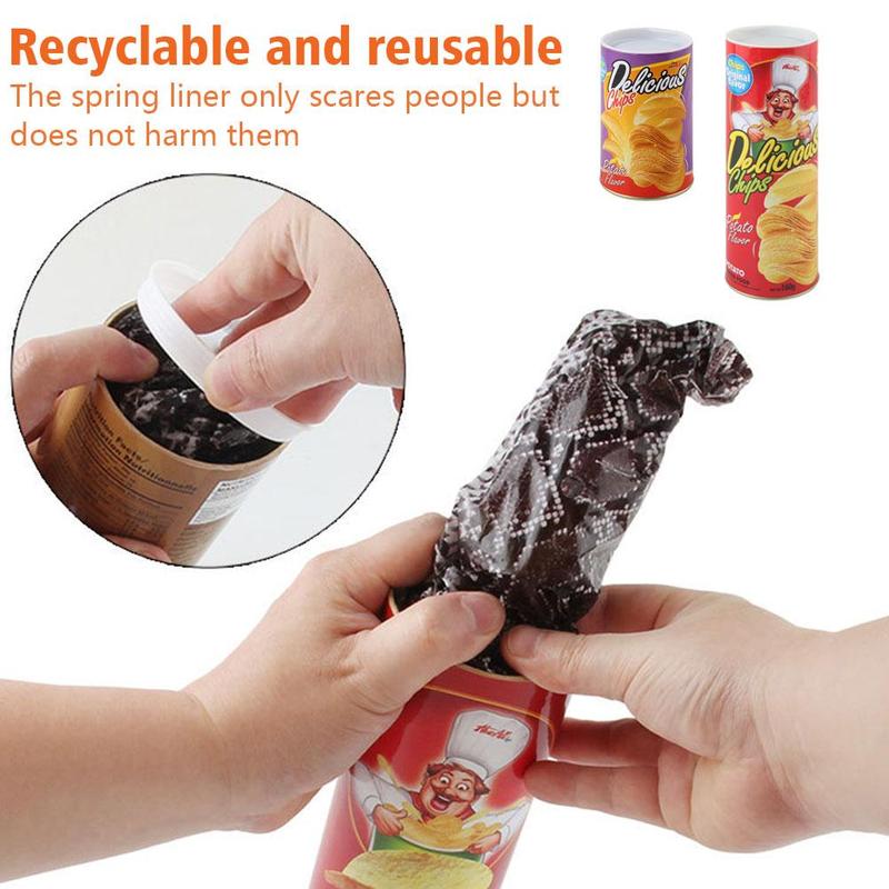 Surprise Snake Jump Potato Chips Hilarious Novelty Prank Toy - TikTok ...