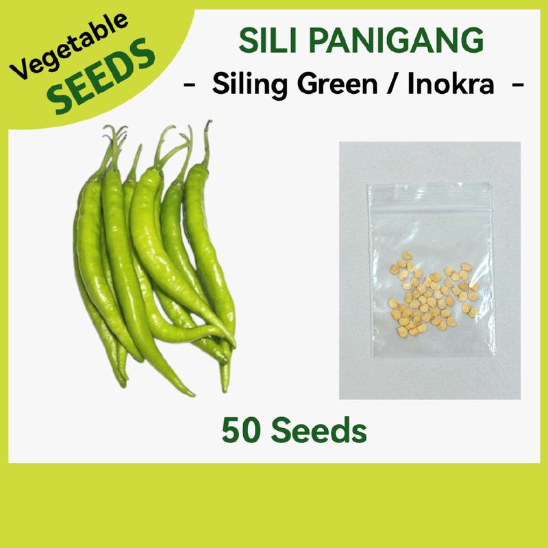 SILI GREEN PANIGANG SEEDS - Inokra Variety - High Quality Vegetable ...