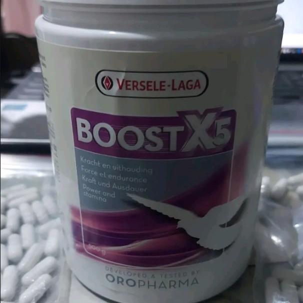 BOOSTX5 capsule for pigeon 20 PCS REPACKED - TikTok Shop Philippines