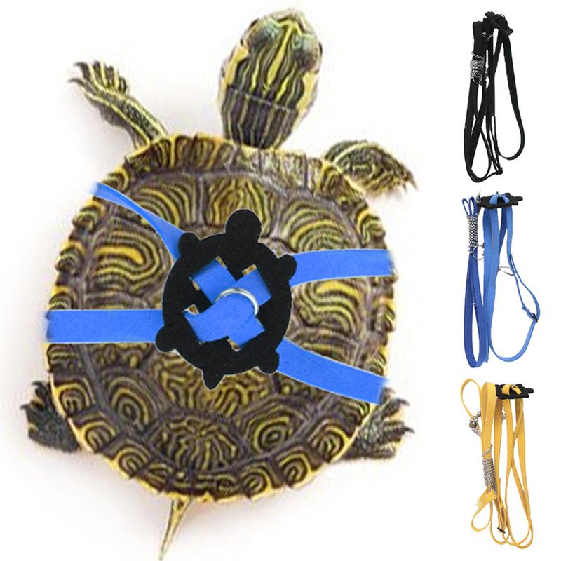 Tortoise Leash Wear-resistant Adjustable Size Safety Tractio - TikTok ...