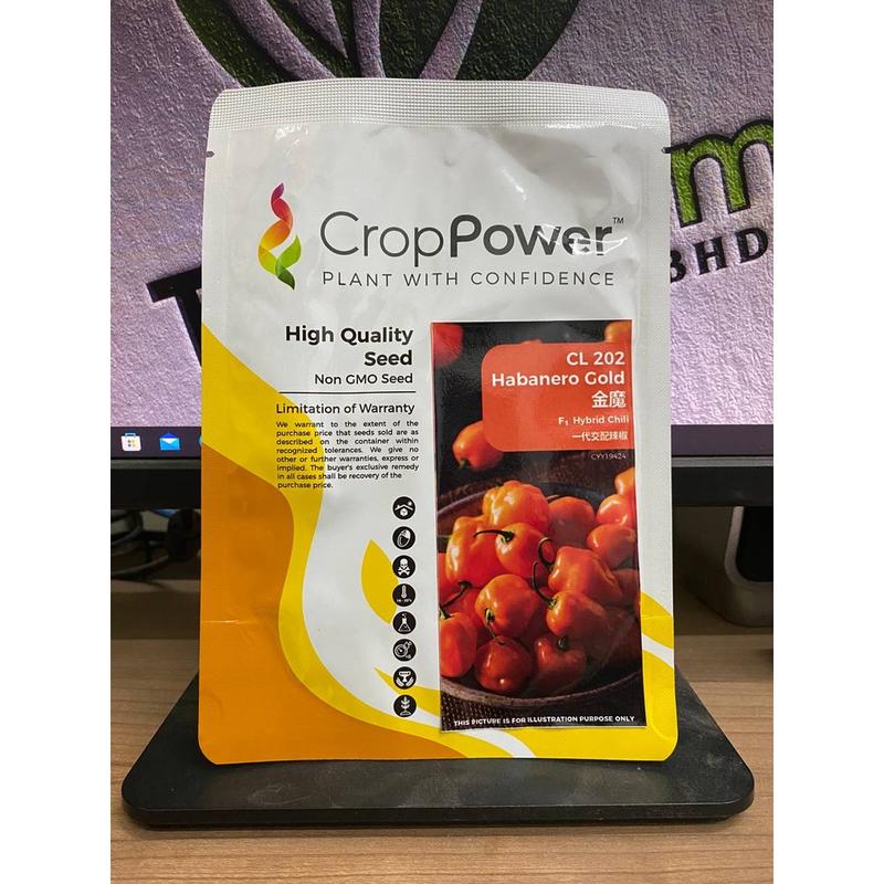 Benih Cili HABANERO GOLD Hibrid F1 CROP POWER CL202 (10gm) - TikTok ...