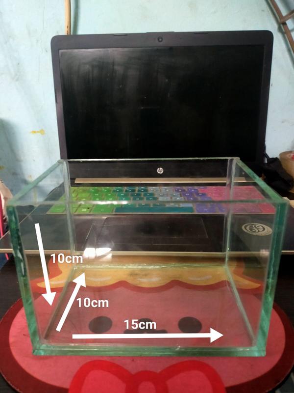 aquarium polos baby cana uk . p-15.l-10.t-10 - Shop | Tokopedia