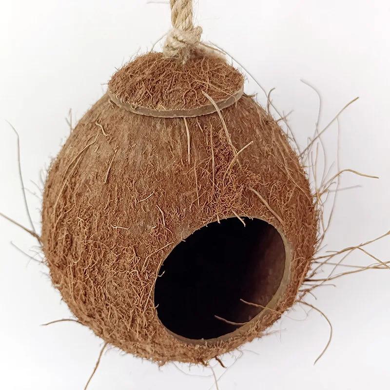 Sarang Burung Kelapa, Aksesori Sarang Gantung Sarang Burung, Kotak ...