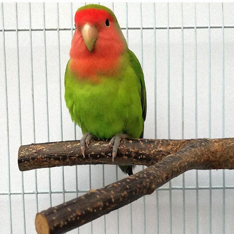 Pet Parrot Branch Perches Stand Wood Rack Simulation Parrot Miniature ...