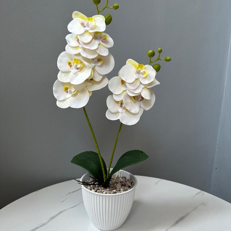 RANGKAIAN BUNGA ANGGREK SEMI LATEX 2CABANG PALSU POT KERANG PLASTIK ...