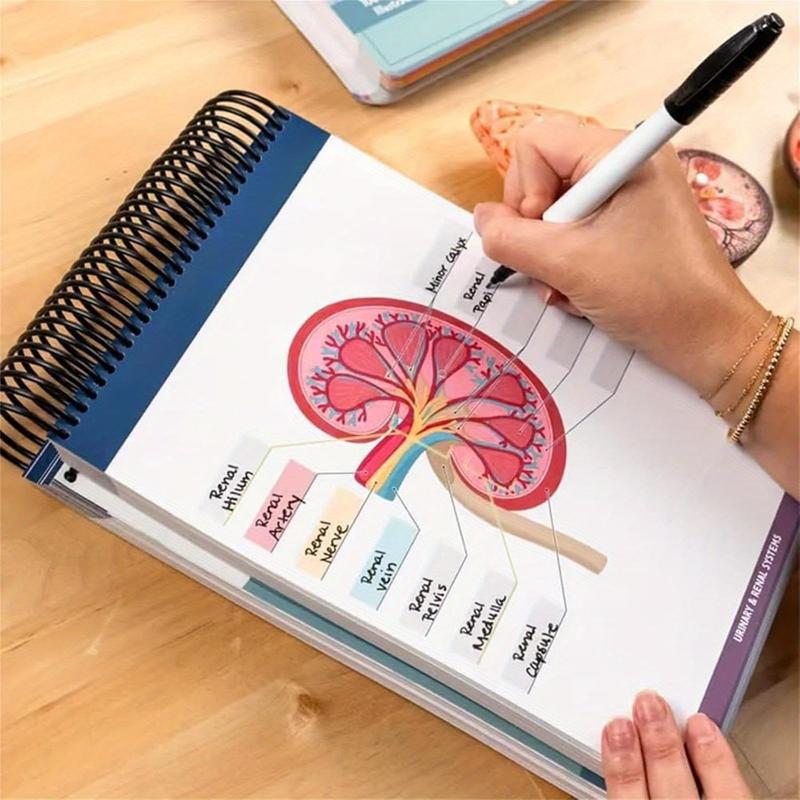 1 This Anatomy Label Lab Workbook, 100 + Full Color Dry Eras - TikTok Shop