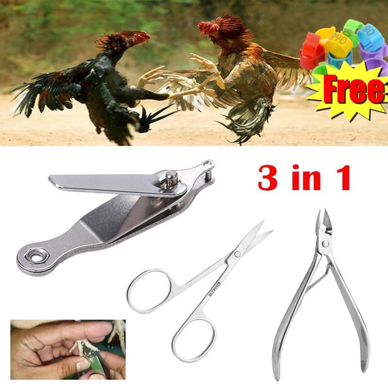 Chick Toe Puncher 3 in 1 Gamefowl Kit Chicken Feather Scissors - TikTok ...