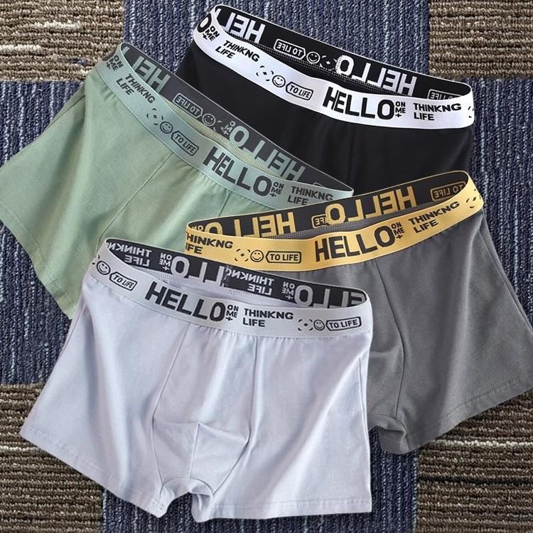 Quần Đùi Boxer Cotton, Dành Cho Nam Giới, Quần Đùi Mùa Thu Đông ...