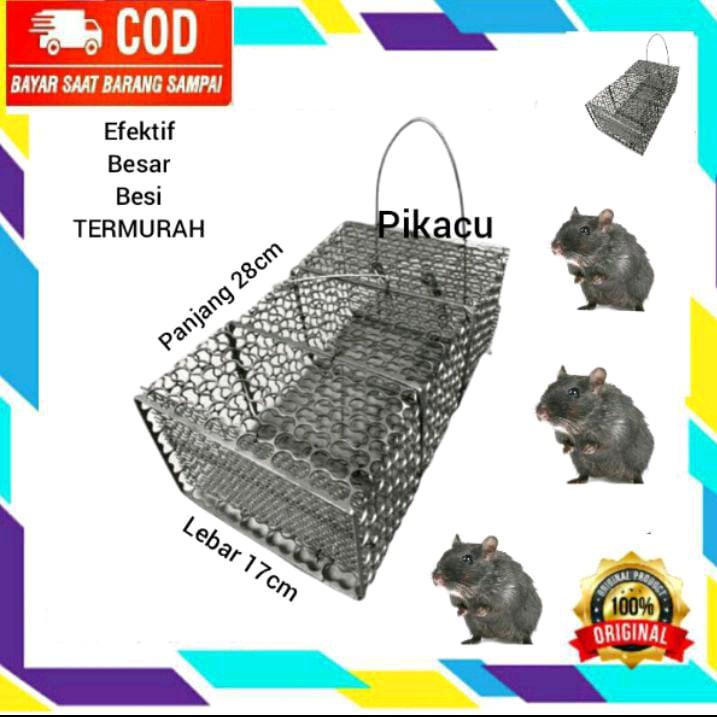 perangkap tikus besar / jebakan tikus besar - Shop | Tokopedia