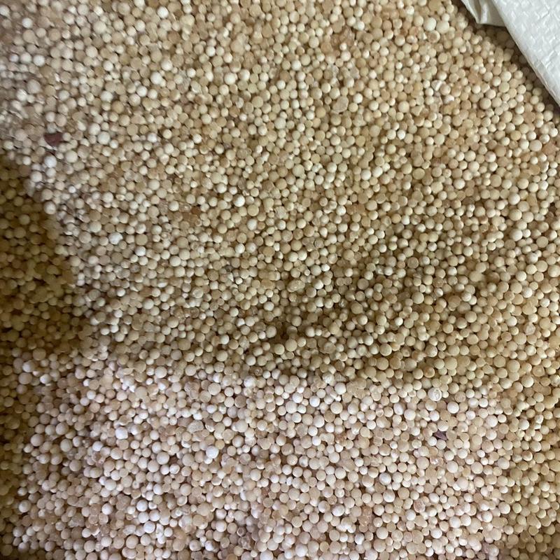 SAGO PEARL RAW / Small / Medium / Large ( Available in 1kg / - TikTok ...