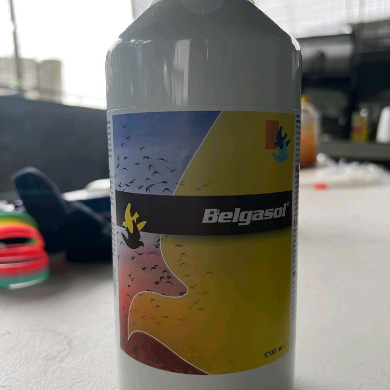 BELGASOL 1000ml belgica de weerd - TikTok Shop Philippines