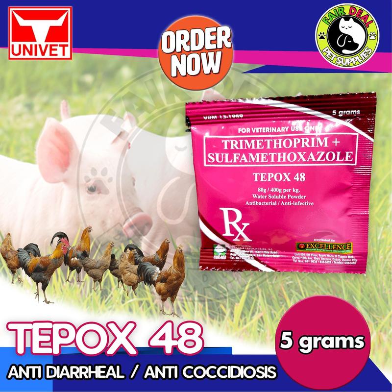 Tepox 48 Anti Diarrhea Treatment (Retail) 5 grams - TikTok Shop Philippines