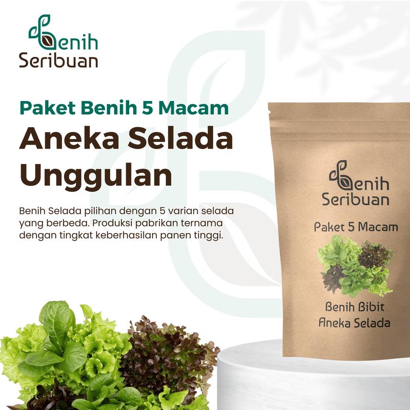 Benih Selada Unggul 5 Macam Benih Sayuran Selada Seribuan - Shop ...