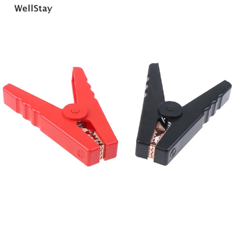 [WellStay] 2Pcs large 100a crocodile alligator clips car battery ...