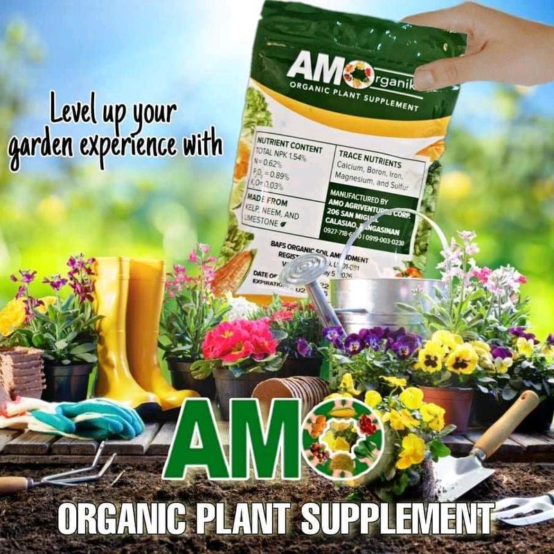 AMO -Plant Growth Enhancer (100grams) NEW PACKAGING - TikTok Shop ...