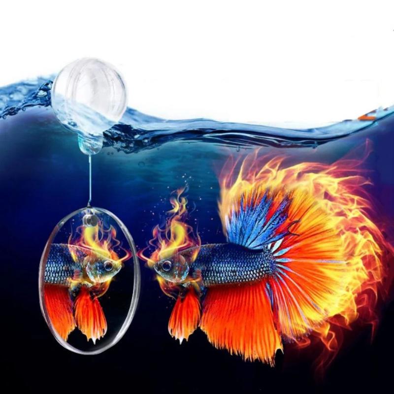 Fish Tank Accessories Decorative Fish Training Mirror Round Suction ...