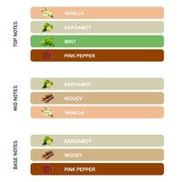 Promo Aerostreet Parfum Holiday Ocean Blue Aroma Fresh Mint Bergamot ...