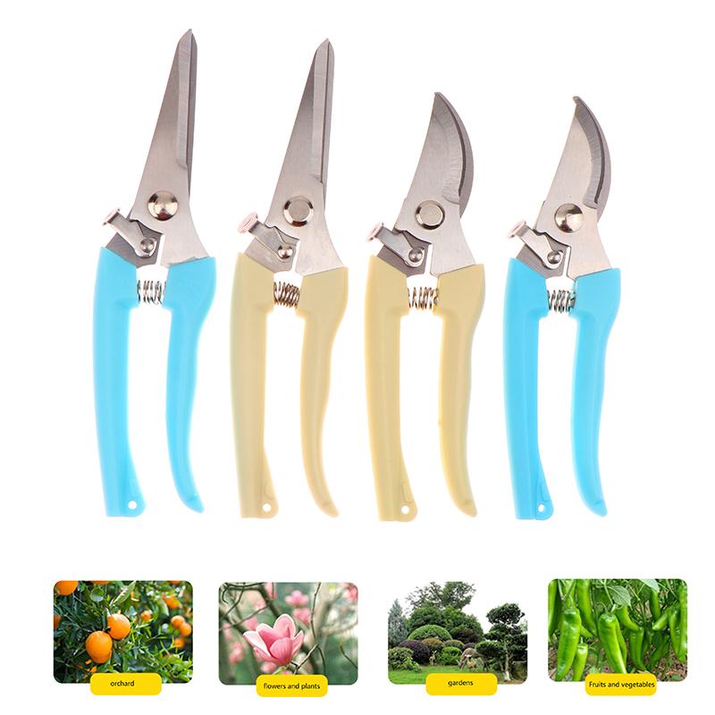 Pruning Garden Scissors Trimmer Orchard Scissors Bonsai Stainless ...