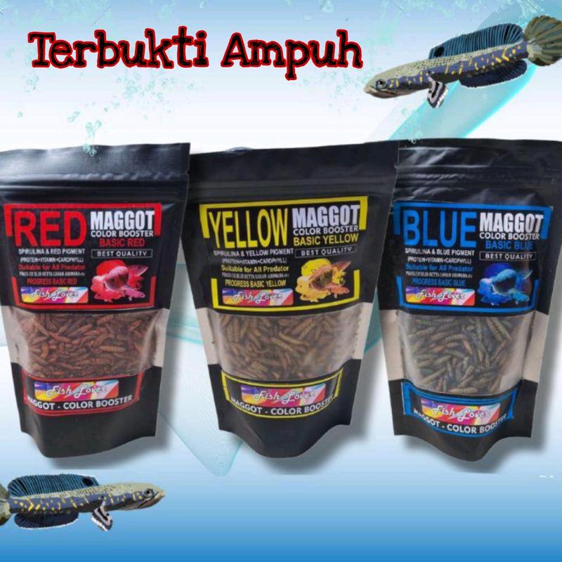 Maggot kering bsf pakan predator channa Premium blue yellow Red - Shop ...