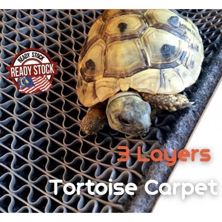 3in1 Reptile Mat 3 Layer Tortoise Mat waterproof tortoise pa - TikTok ...