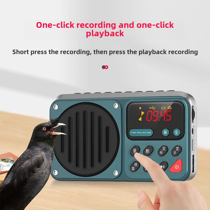 Parrot Talking Learning Device Repeater Bird Training Recorder - TikTok ...