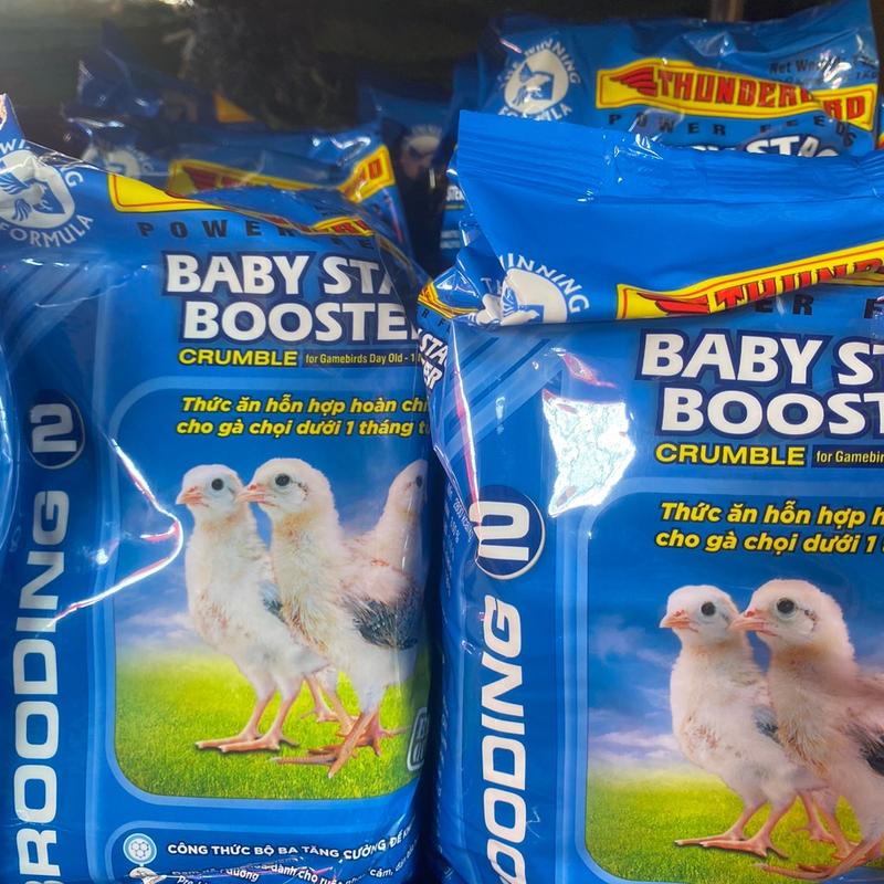 5kg Cám gà con từ 0-1 tháng babystag booster (5túi) - TikTok Shop Vietnam